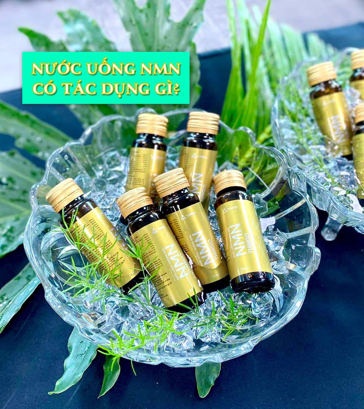 Nước uống NMN: Tác dụng và Ưu điểm trong Cải thiện Sức khỏe, Tuổi Thọ